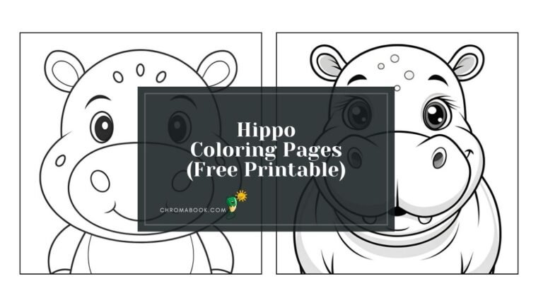 Hippopotamus Coloring Pages: (Free Printable PDF) - Coloring 4 Kids